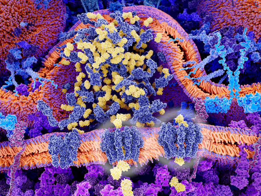 Visual Proteomics - Chan Zuckerberg Initiative