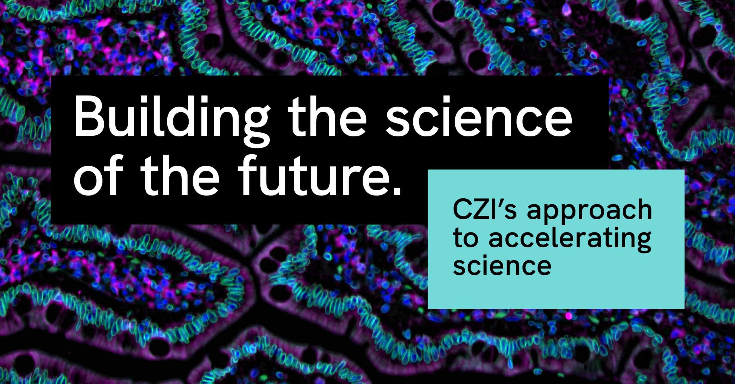CZI Science 5th Anniversary Event - Chan Zuckerberg Initiative