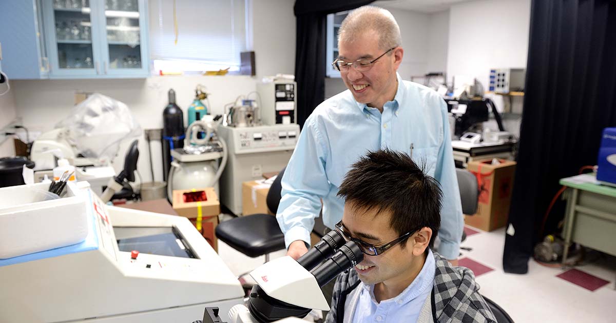 Advancing Imaging Collaborative Projects RFA | CZI Science