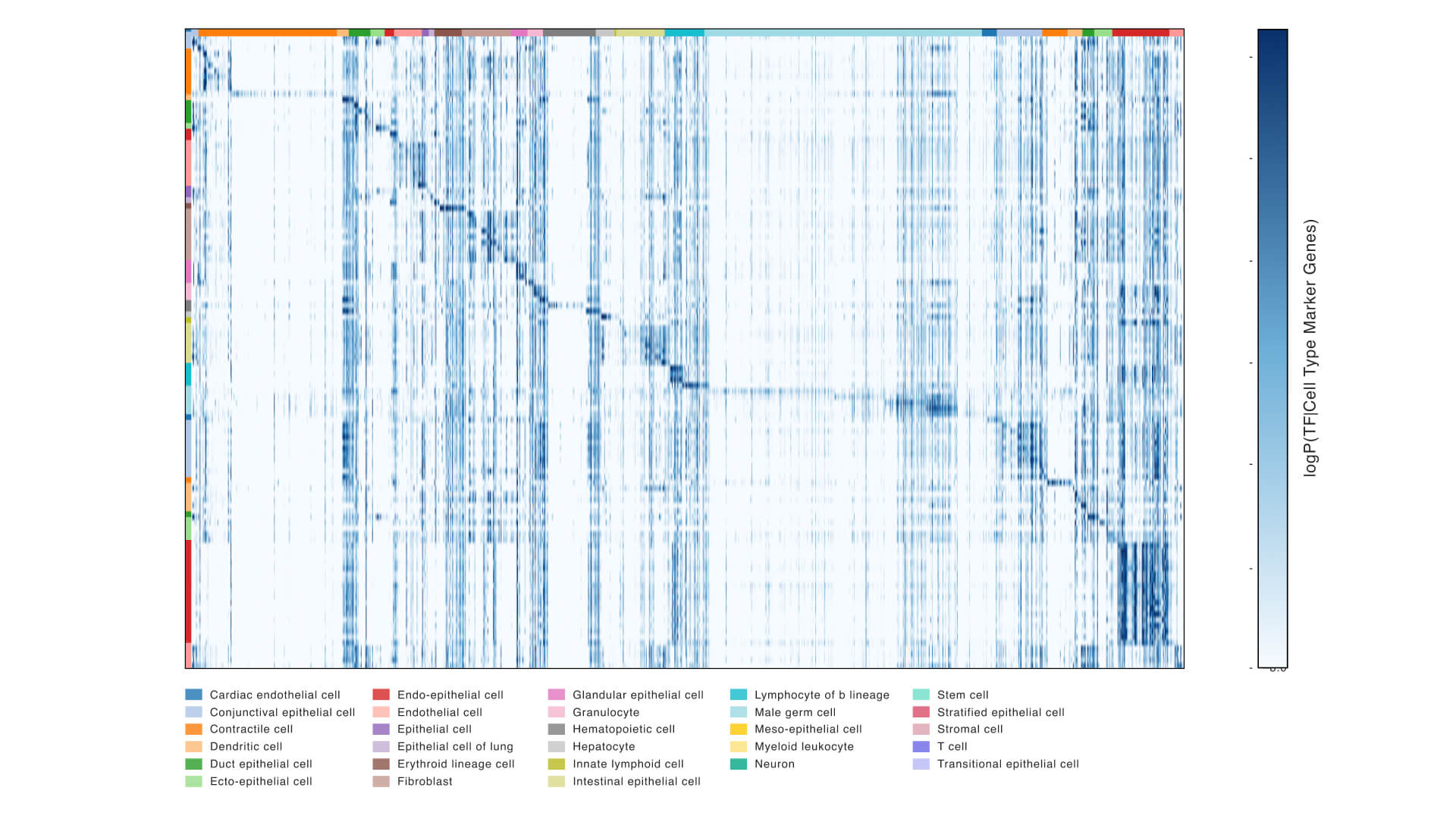 TranscriptFormer: AI Model for Cross-Species Biology
