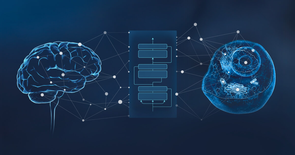 CZI Launches rBio: Reasoning Model Trained on Virtual Cell Simulations